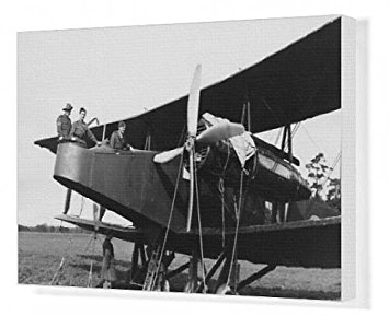 The AIF organisation (English)